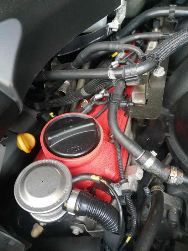 Red paint for cylinder heads | SportsMaserati